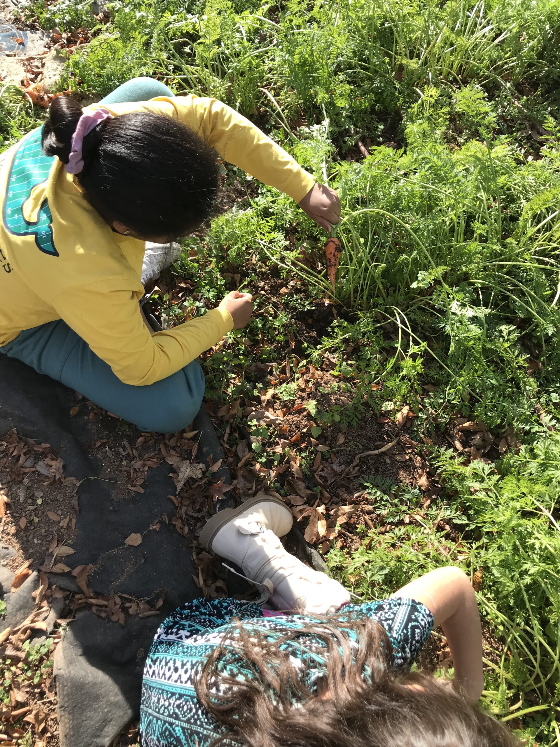 CSA – Building from Below